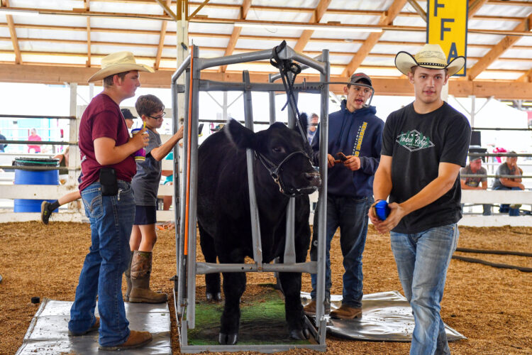 What’s happening at the Grange Fair | News, Sports, Jobs - The Express